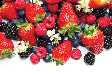 #41 It's the Berries! - 101 Things To Do