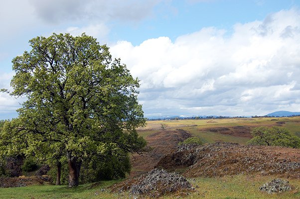 101 Things To Do In The Foothills of California