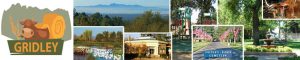 101 Things To Do In Gridley California